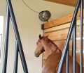 Stall Fans - Cool Barns | Amberway Equine